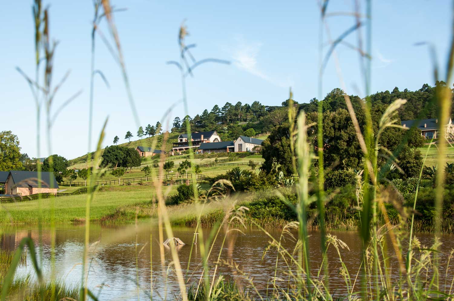 History of the Show – Kloof Conservancy