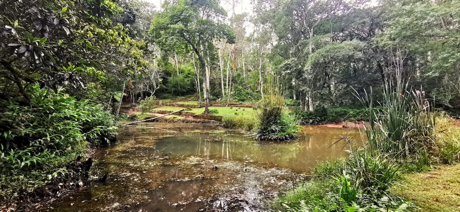 The Gardens – Kloof Conservancy